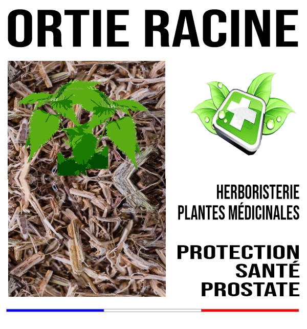 Ortie piquante racine 150 grammes - L'Officine des Naturalistes ® La ...