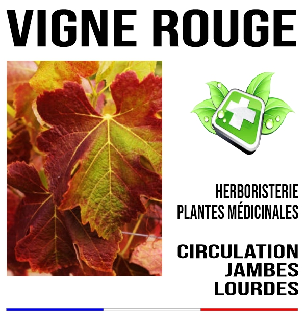 Vigne rouge feuille France 160 grammes - L'Officine des Naturalistes ...