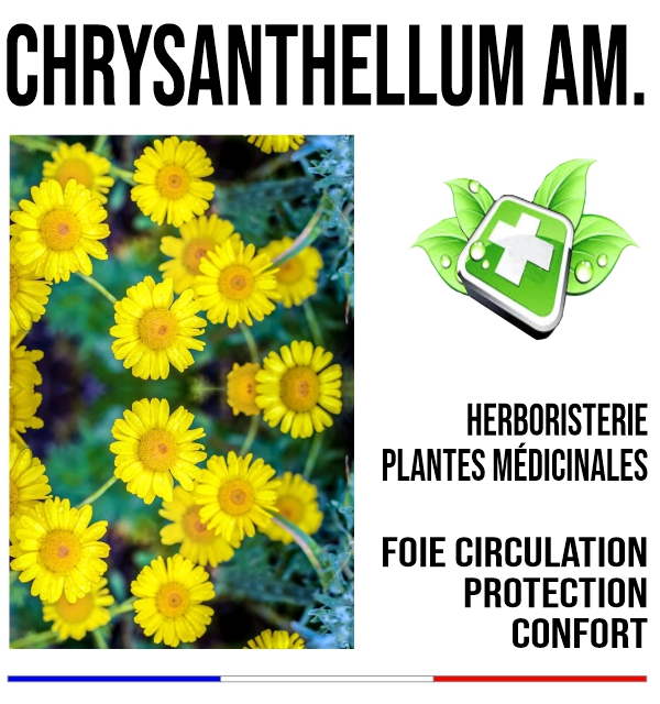 Chrysanthellum americanum plante 200 grammes - L'Officine des ...